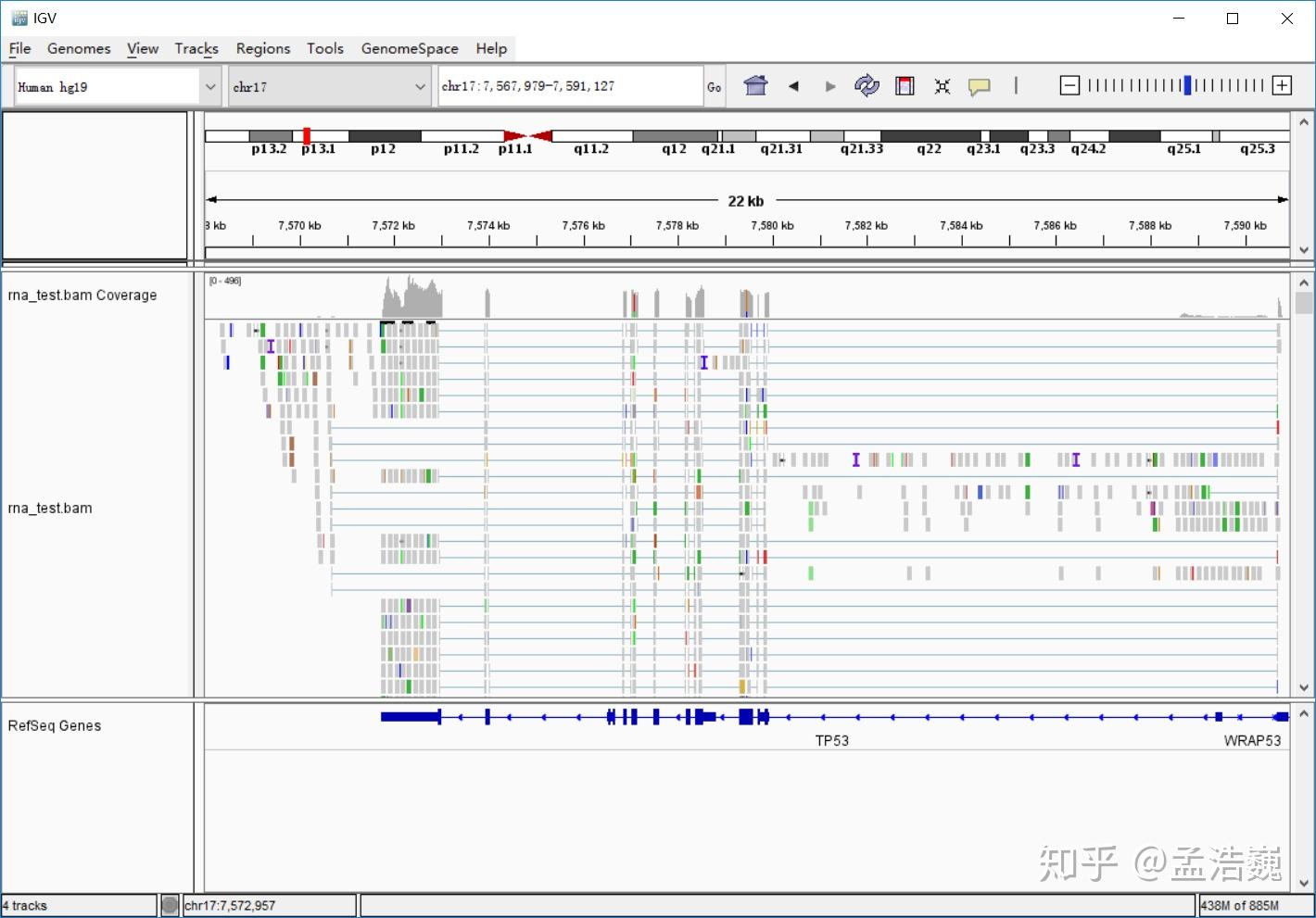 生物信息学100个基础问题 —— 第30题 IGVTools使用的一些小技巧 - 知乎