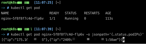 实战直击：Kubernetes启用网络双栈，实现IPv4到IPv6平滑过渡 - 知乎