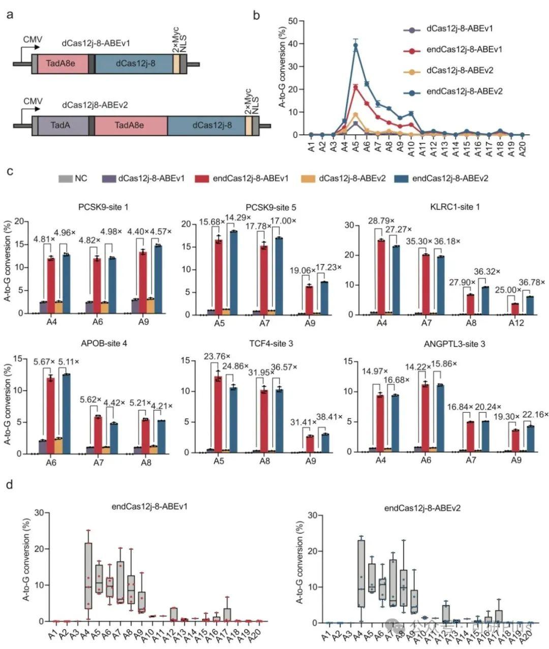 Adv Sci | 南医大张军/沈彬团队最新进展：小巧基因"剪刀"Cas12j-8编辑效率暴增55倍，多重编辑一步到位！ - 知乎