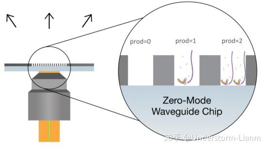 三代测序入门：PacBio数据分析 - 知乎