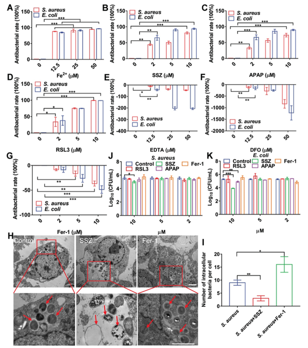 中科院一区TOP Theranostics丨铁死亡的抗菌作用 - 知乎