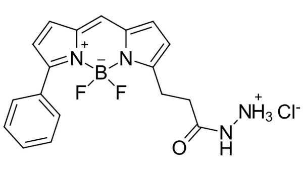 BODIPY R6G(罗丹明)-alkyne/amine/COOH/NHS 活化脂/N3/DBCO/Hz/MAL/Tz - 知乎