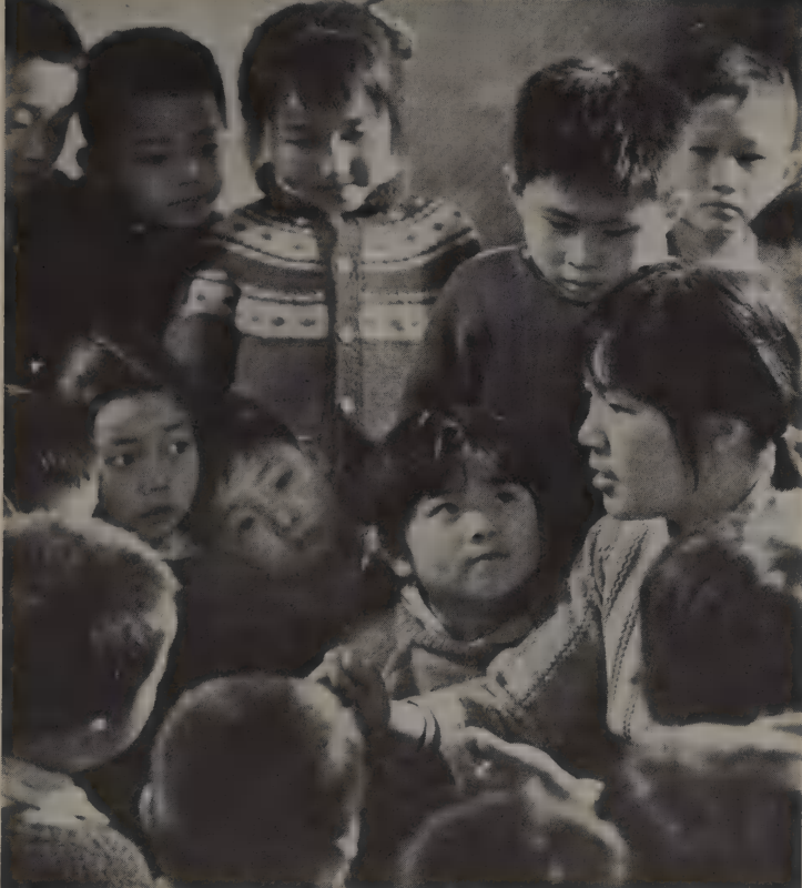 翻译：Ruth Gamberg《红与专：中华人民共和国的教育》第六章：像树一样成长 - 知乎