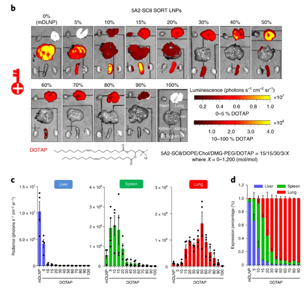 Nat. Nanotechno. | Selective organ targeting (SORT) nanoparticles for ...