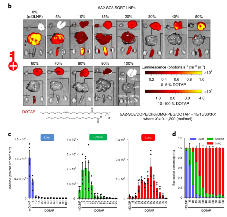 Nat. Nanotechno. | Selective organ targeting (SORT) nanoparticles for ...