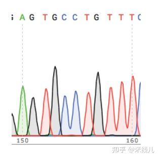 分析Sanger测序结果的六条提示 - 知乎