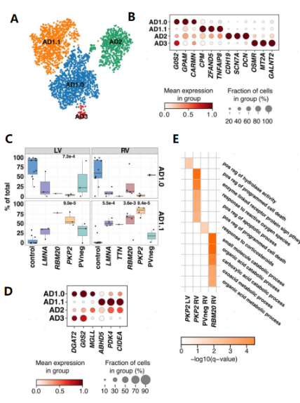 Science|单细胞测序为“心力衰竭”提供潜在治疗方案 - 知乎