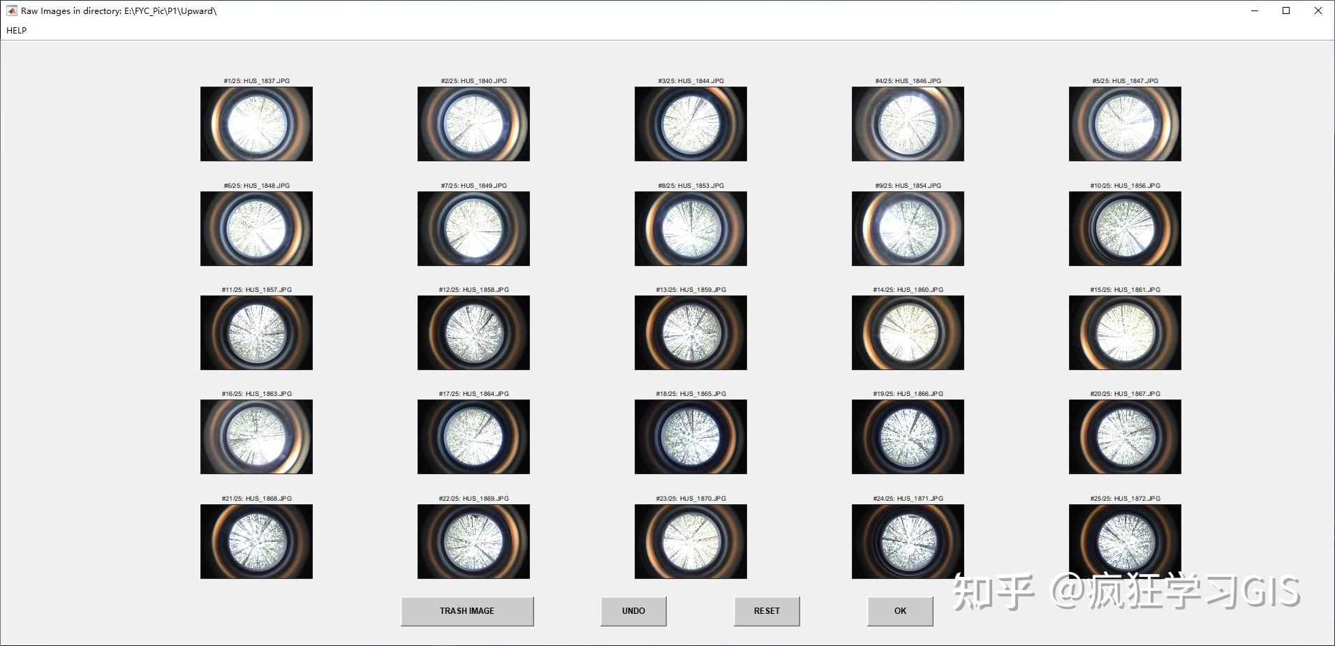 CAN-EYE软件计算LAI、FVC等植被参数的方法 - 知乎