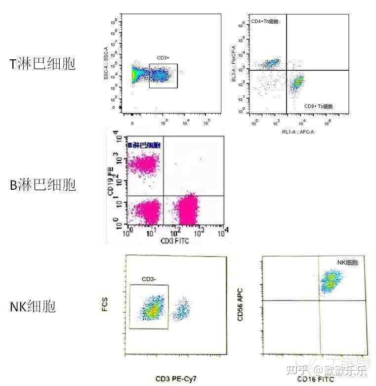 细胞实验：流式与免疫 flow-cytometry - 知乎