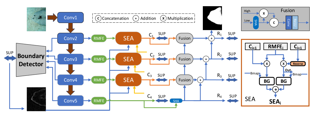 论文解读 I Can Find You Boundary Guided Separated Attention Network For Camouflaged Object