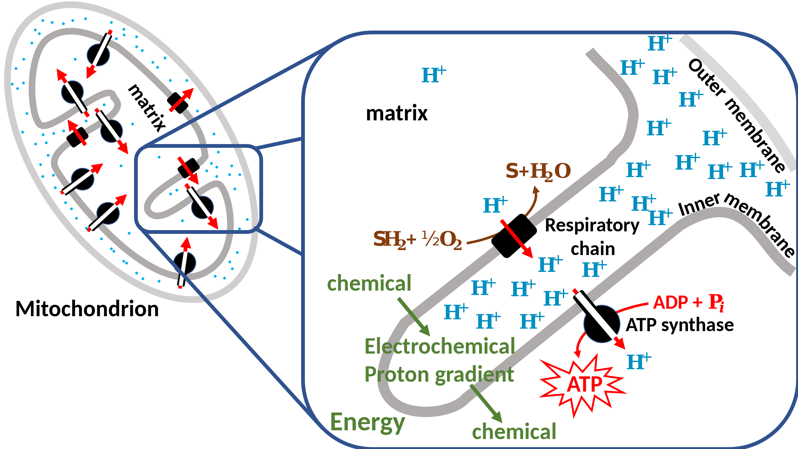生命起源 / Abiogenesis - 知乎