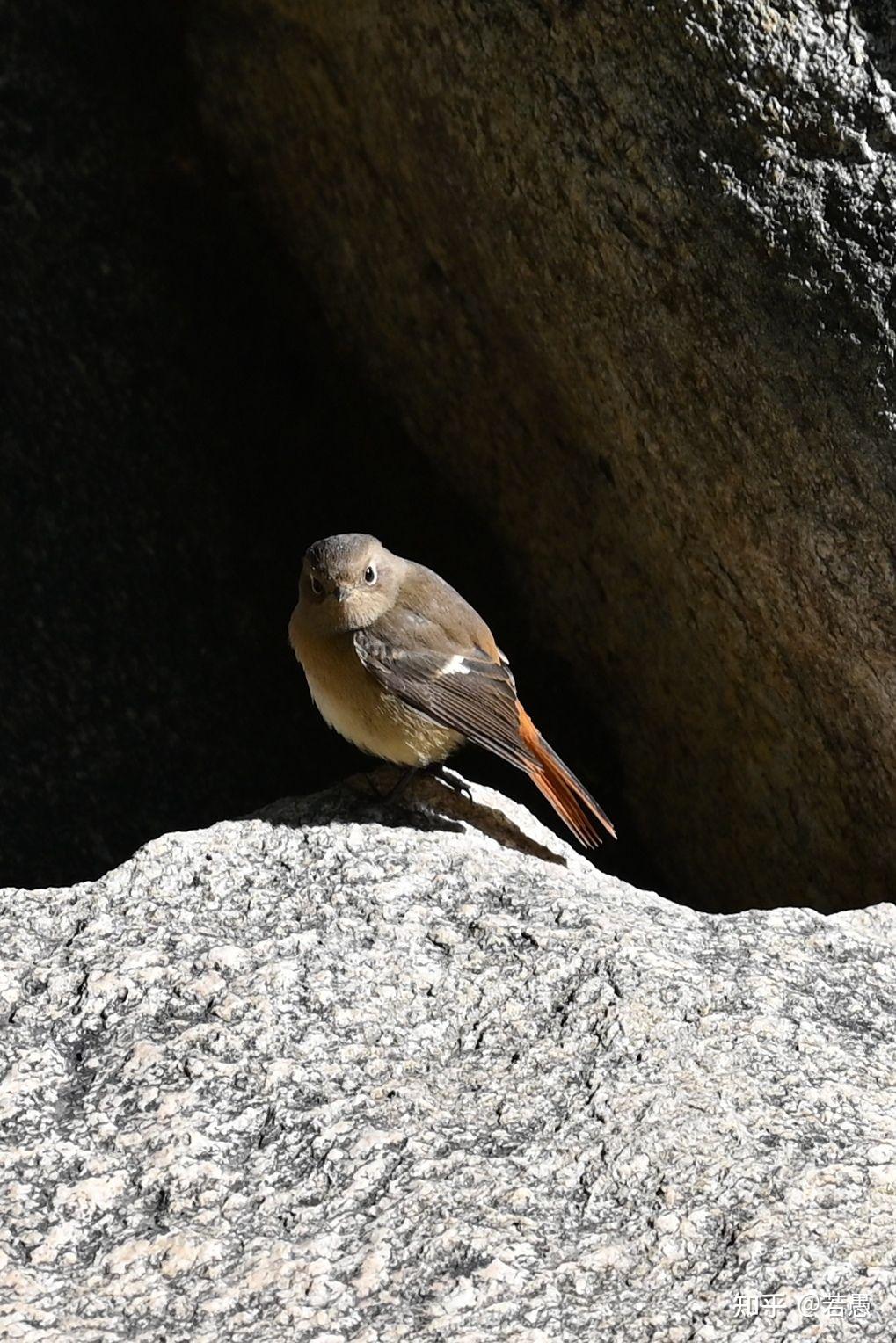 如何评价尼康z 24-120 f4 s