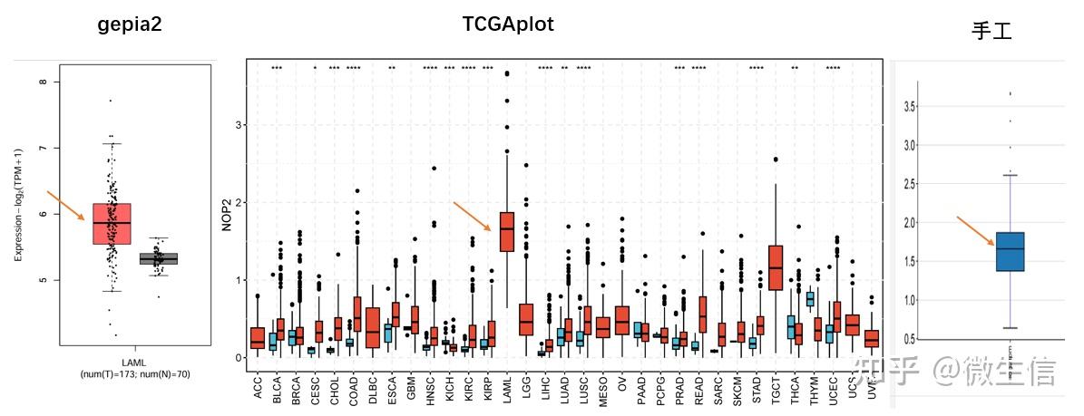 TCGAplot在线版：输入基因，一键绘制TCGA泛癌肿瘤vs正常box图 - 知乎