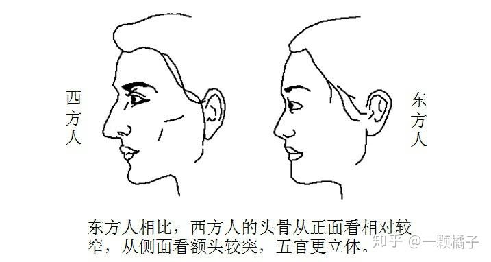 眉弓系列干货想使眼睛更深邃,眼部更立体?改善眉弓看这里! 知乎