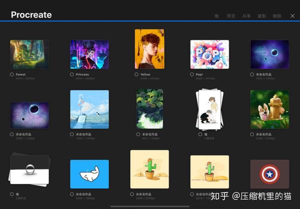 procreate教程|史上最全整合版procreate基础操作教程 - 知乎