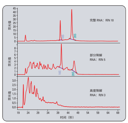 六大问带你看懂 RNA 质控金标准-RNA 完整值 (RIN) - 知乎