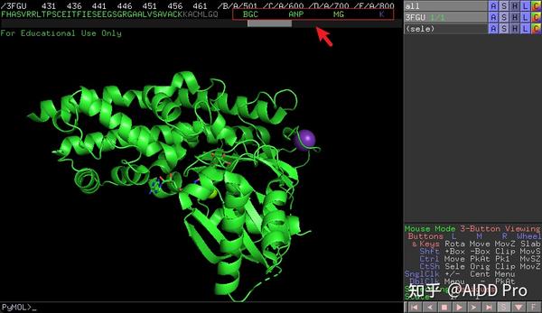 PyMOL绘图实例【03】酶活性位点的展示 - 知乎