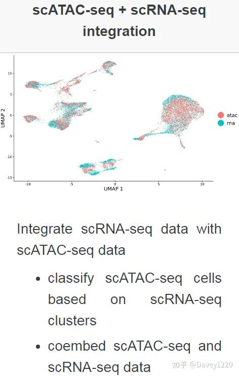 Seurat包学习笔记（六）：scATAC-seq + scRNA-seq integration - 知乎