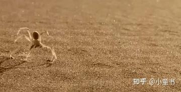 适合孩子看的7个人工智能视频 - 知乎