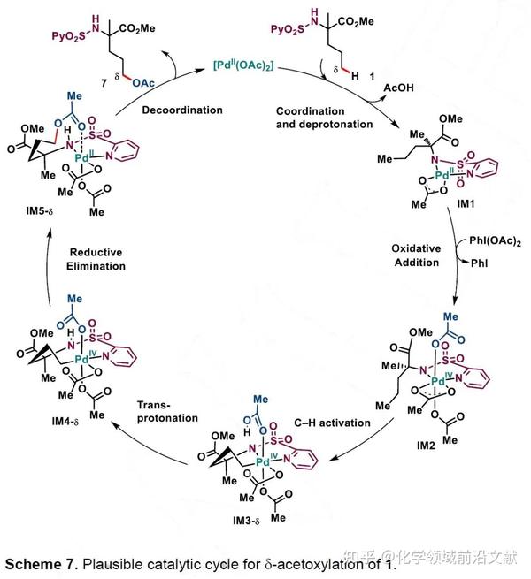 钯催化PIDA介导的氨基酸衍生物的δ-C(sp3)-H乙酰氧基化反应 - 知乎