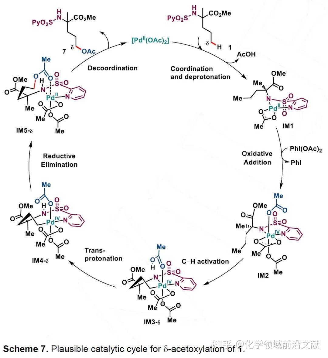 钯催化PIDA介导的氨基酸衍生物的δ-C(sp3)-H乙酰氧基化反应 - 知乎