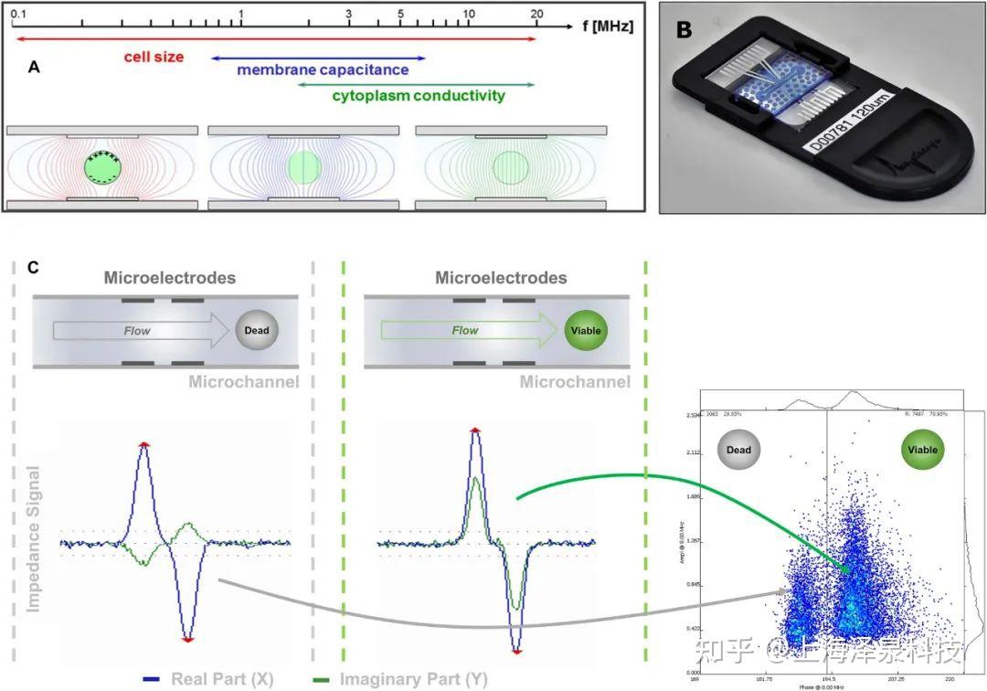 Ampha Z32花粉活力分析仪的应用：耐热辣椒品种评估及筛选 - 知乎