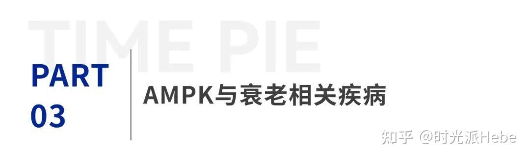 20年磨一剑！Science：索尔克研究所破解AMPK与线粒体合成关键蛋白 - 知乎