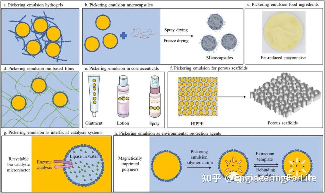 《Carbohydr. Polym.》综述：一文带你全面了解壳聚糖基Pickering乳化稳定剂 - 知乎
