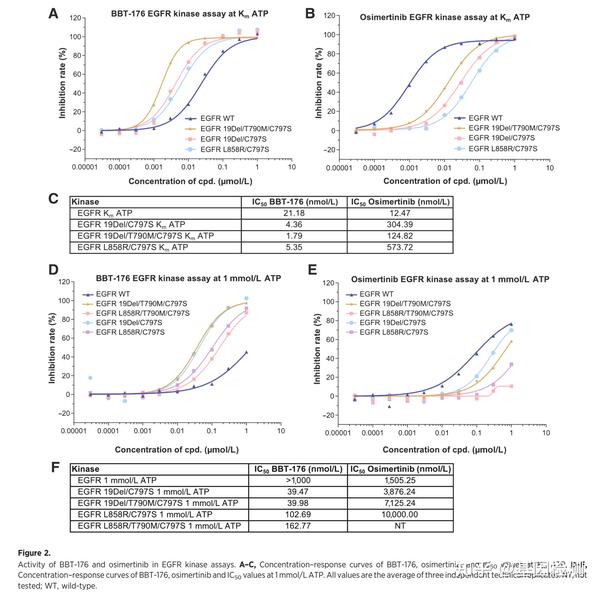 BBT-176，一种新的第四代酪氨酸激酶抑制剂，用于治疗非小细胞肺癌中奥希替尼耐药的EGFR突变 - 知乎