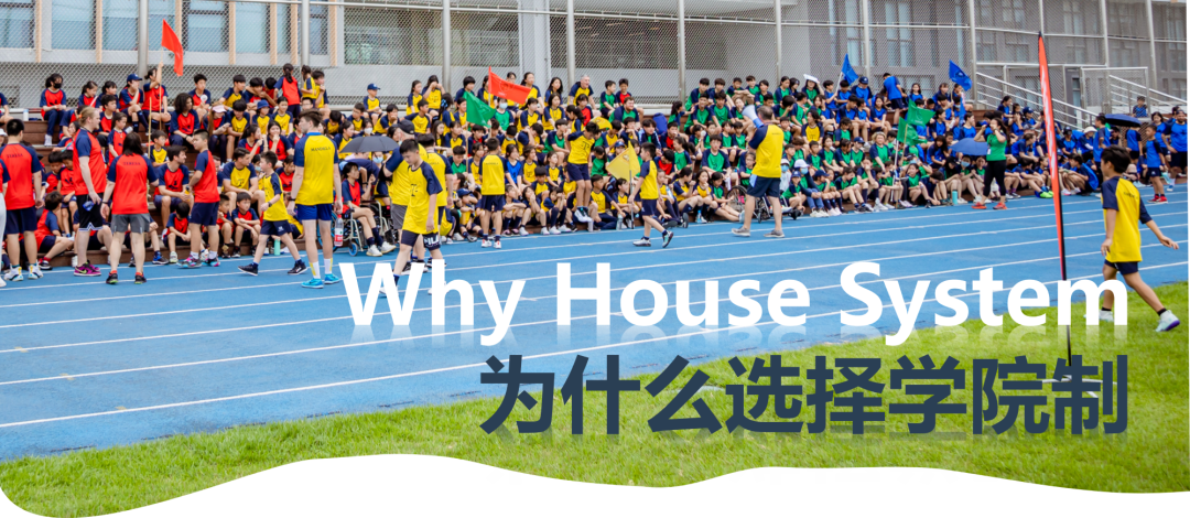About House System in ISA | 爱莎学院制知多少 - 知乎