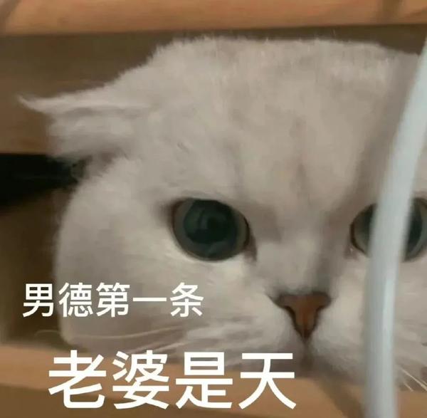 哄女朋友的表情包 知乎