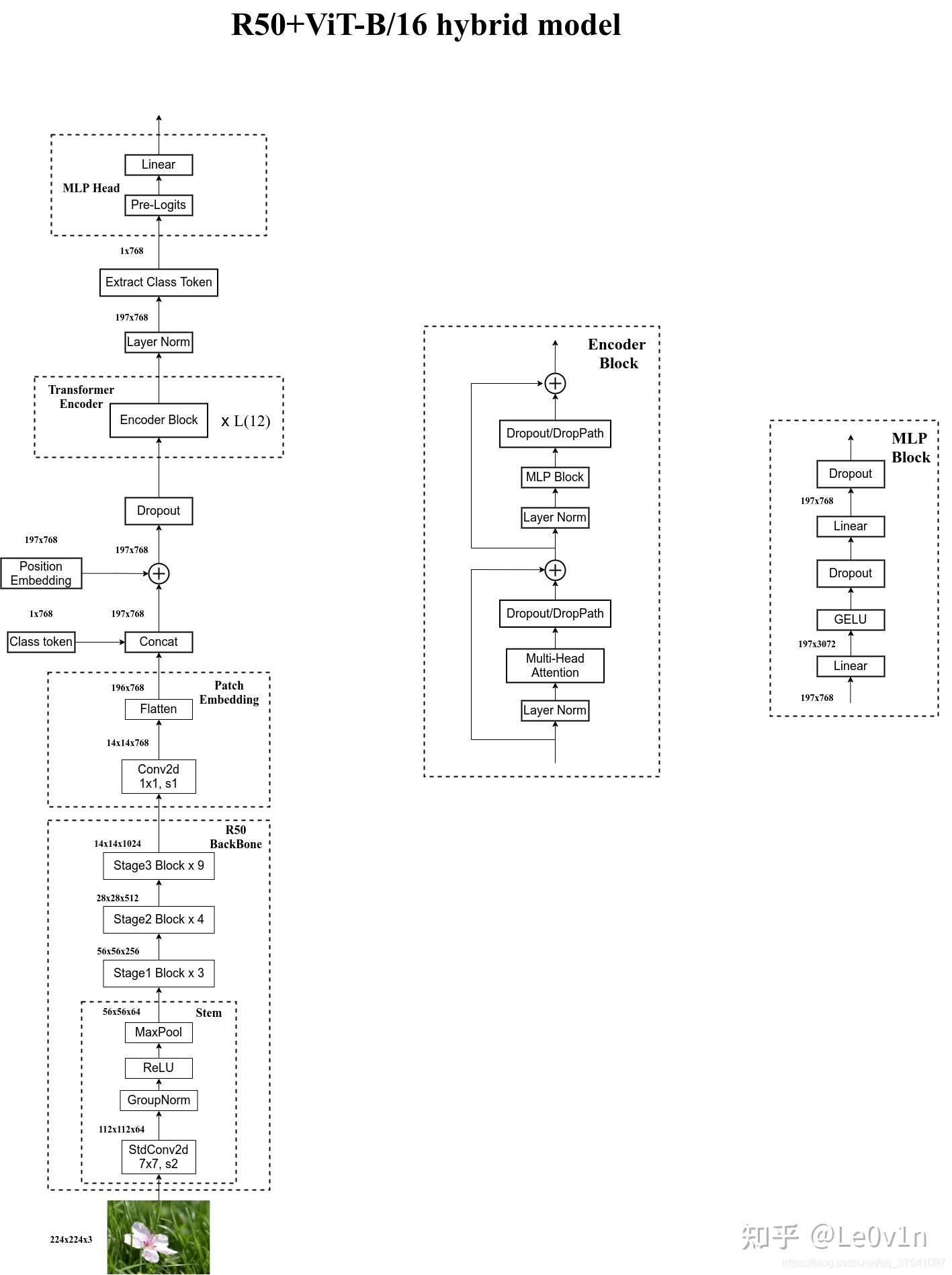 ViT (Visual Transformer) - 知乎