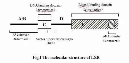 肝X受体的基因多态性与代谢类疾病的相关性 - 知乎