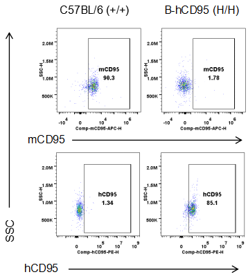 CD95人源化小鼠 - 知乎