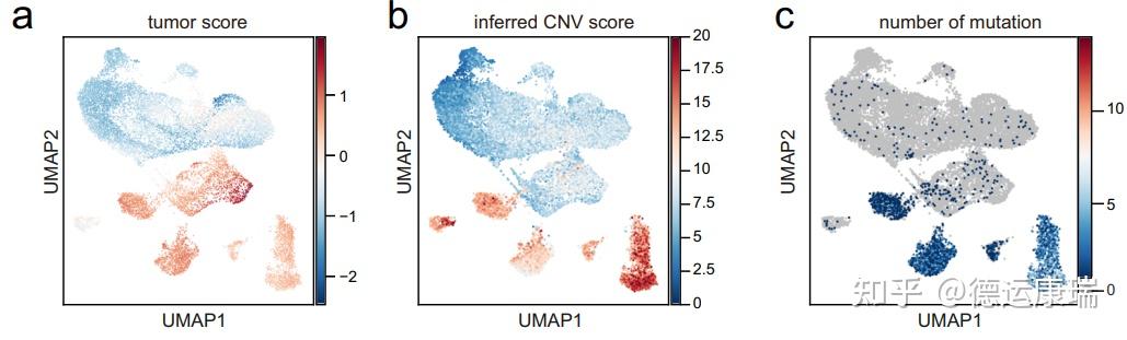 CNV score辅助肿瘤恶性细胞鉴定-附代码 - 知乎