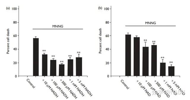NMN、NADH都是通过NAD+来抗衰老，为什么NADH更强？ - 知乎