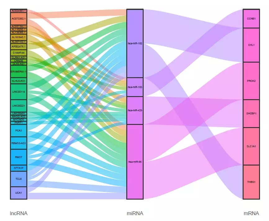如何用ggalluvial绘制ceRNA网络图？ - 知乎