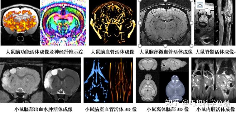 大型科研仪器介绍——布鲁克Bruker 9.4T小动物MRI - 知乎