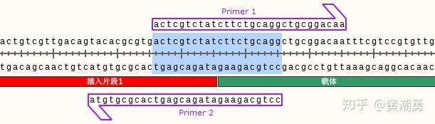 你每天用到的Gibson组装，你真的弄懂了吗？ - 知乎