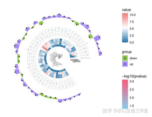 画最美的进化树：ggtreeExtra包进阶使用实例 - 知乎