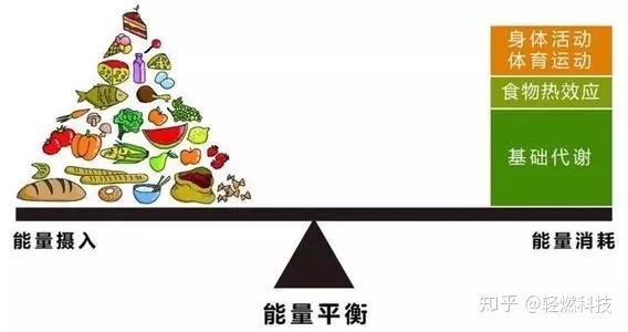 计算每天热量摄入量不能帮助减肥 知乎