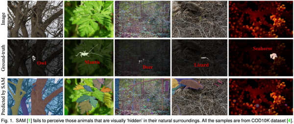 SAM 模型真的是强悍到可以“分割一切”了吗？ - 知乎