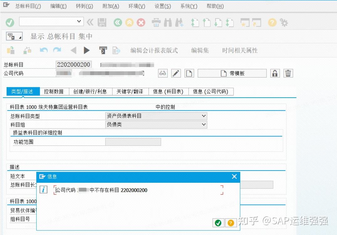 SAP运维_034_FI_汇率评估报错