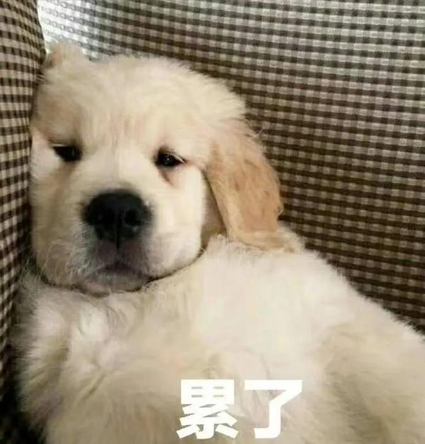 累了表情包 - 知乎