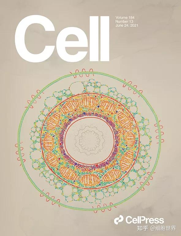2021年6月，这些研究登上Cell Press期刊封面！ - 知乎