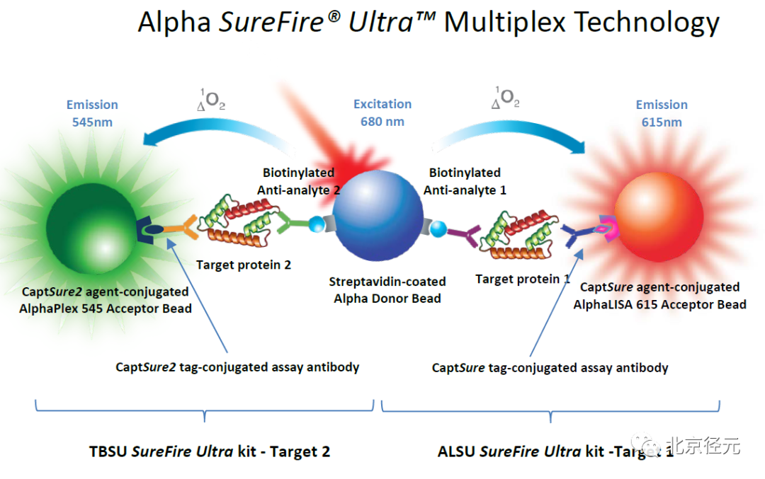读懂Alpha均相检测技术|高通量筛选利器 - 知乎