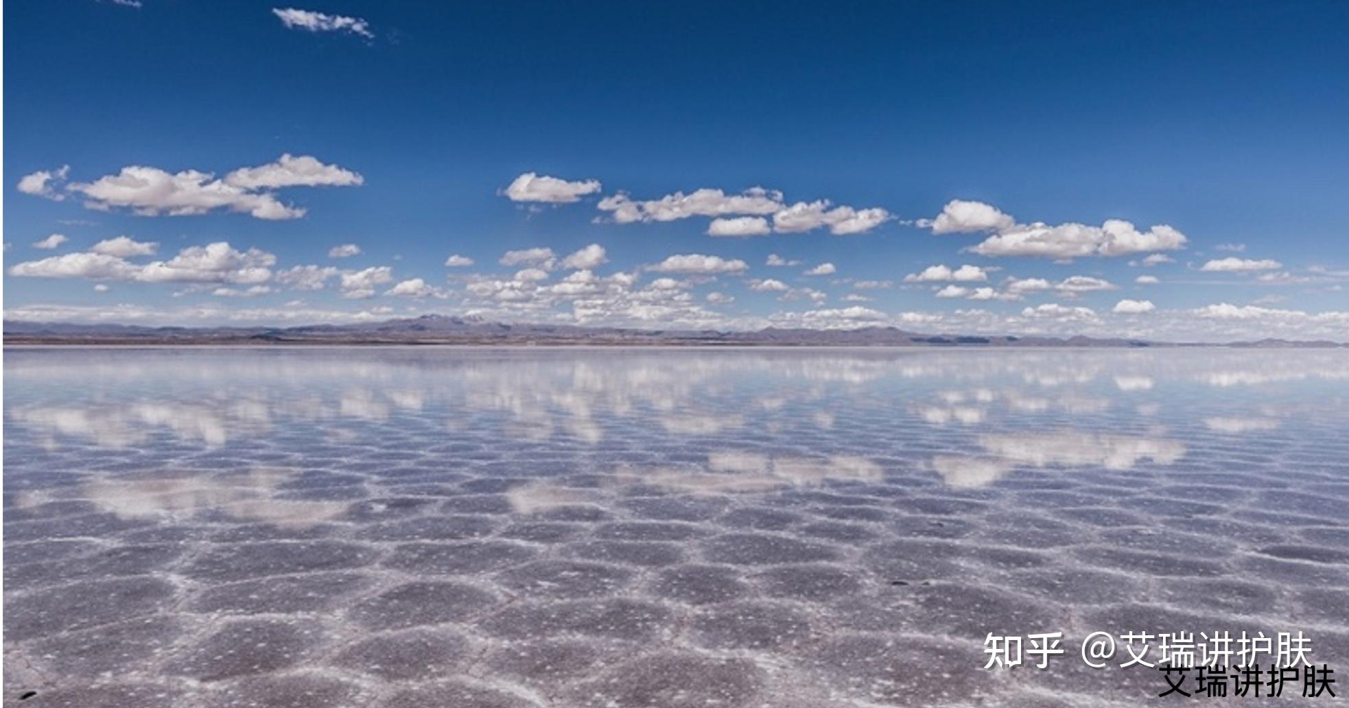 真优秀，还是假噱头？——【依克多因】 - 知乎