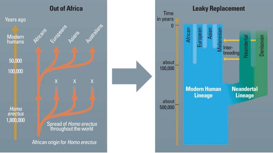 我们从何而来——从DNA研究发现的早期人类复杂的“混血”交配 - 知乎