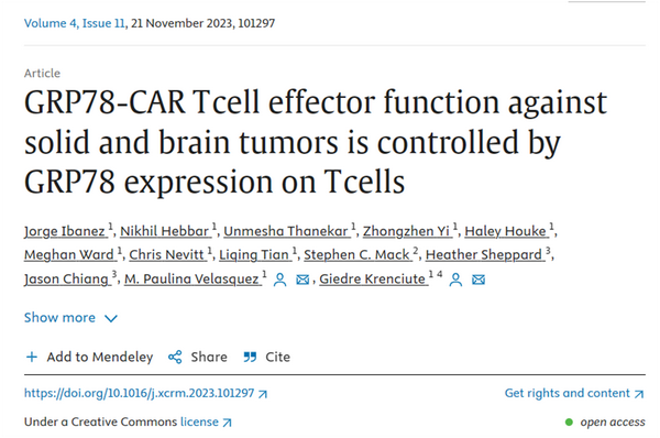 靶向GRP78的CAR-T细胞在脑肿瘤和实体瘤治疗中的效果及调控机制研究 - 知乎