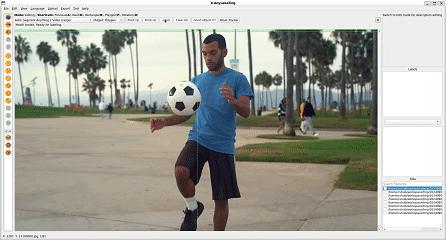 Segment Anything 2 (SAM2) in X-AnyLabeling: 构建快速精准的图像和视频标注对象分割工具 - 知乎